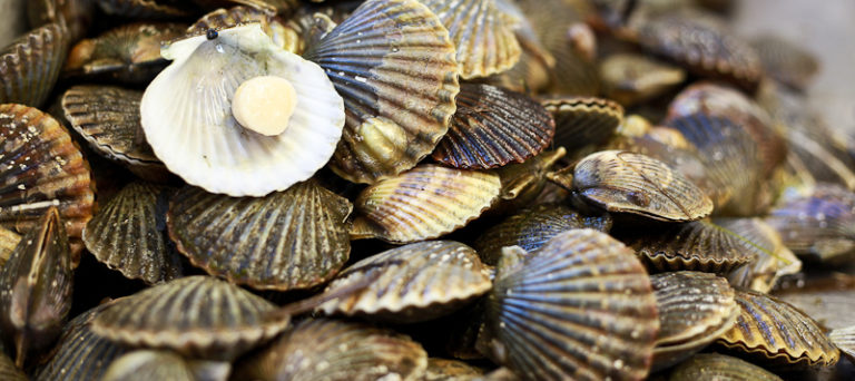 Nantucket Thanksgiving, What You Need to Know for the Weekend