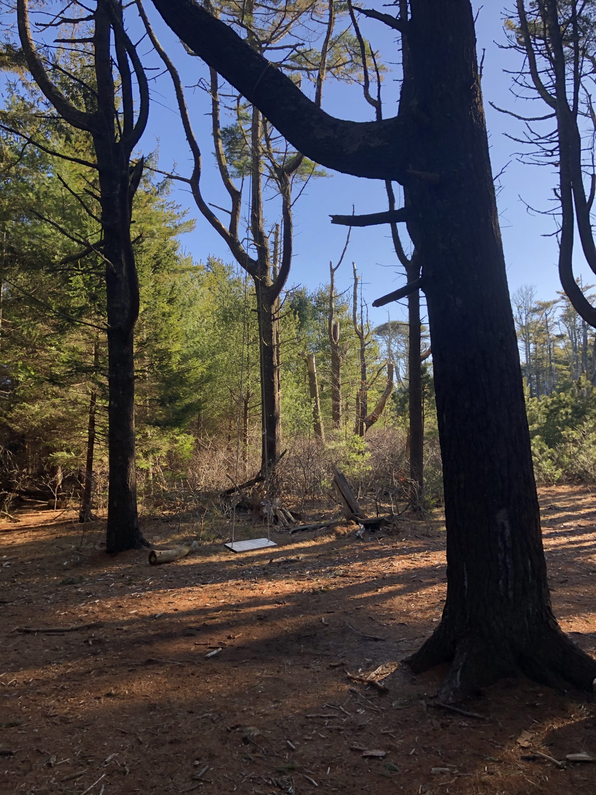 Off the Beaten Path Trails - Fisher Real Estate Nantucket