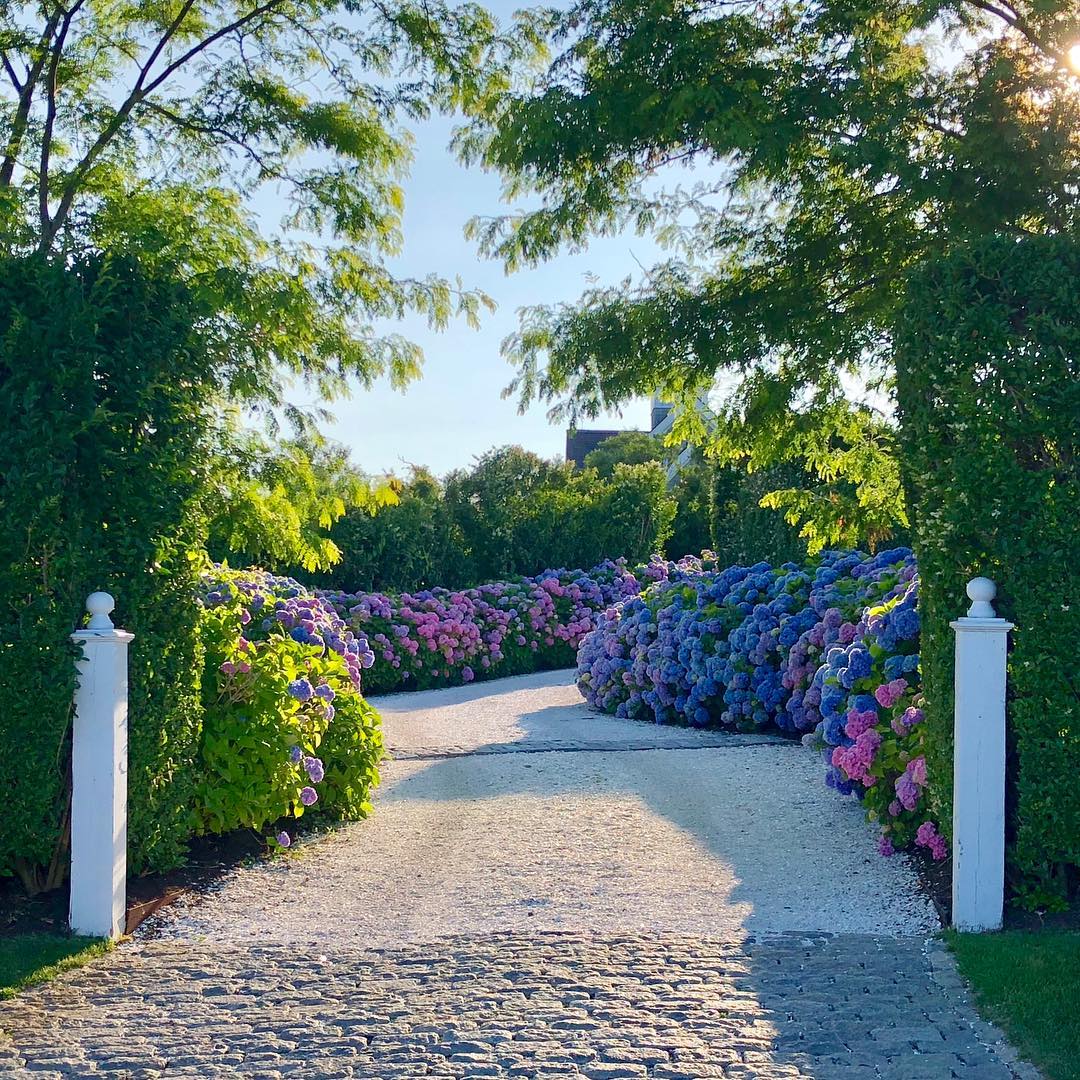 Lara Hanson - Fisher Real Estate Nantucket