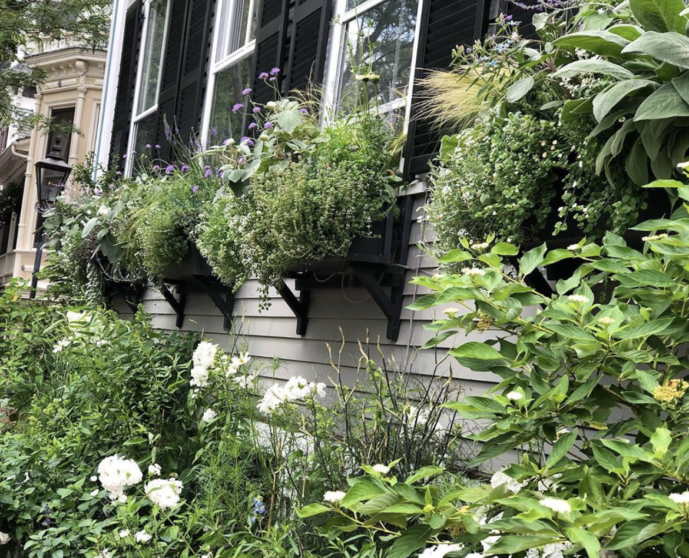 How to Make Perfect Nantucket Window Boxes - Fisher Real Estate Nantucket