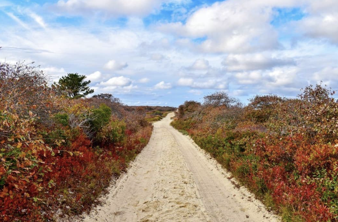 Fall on Nantucket: An Instagram Photo Album - Fisher Real Estate Nantucket
