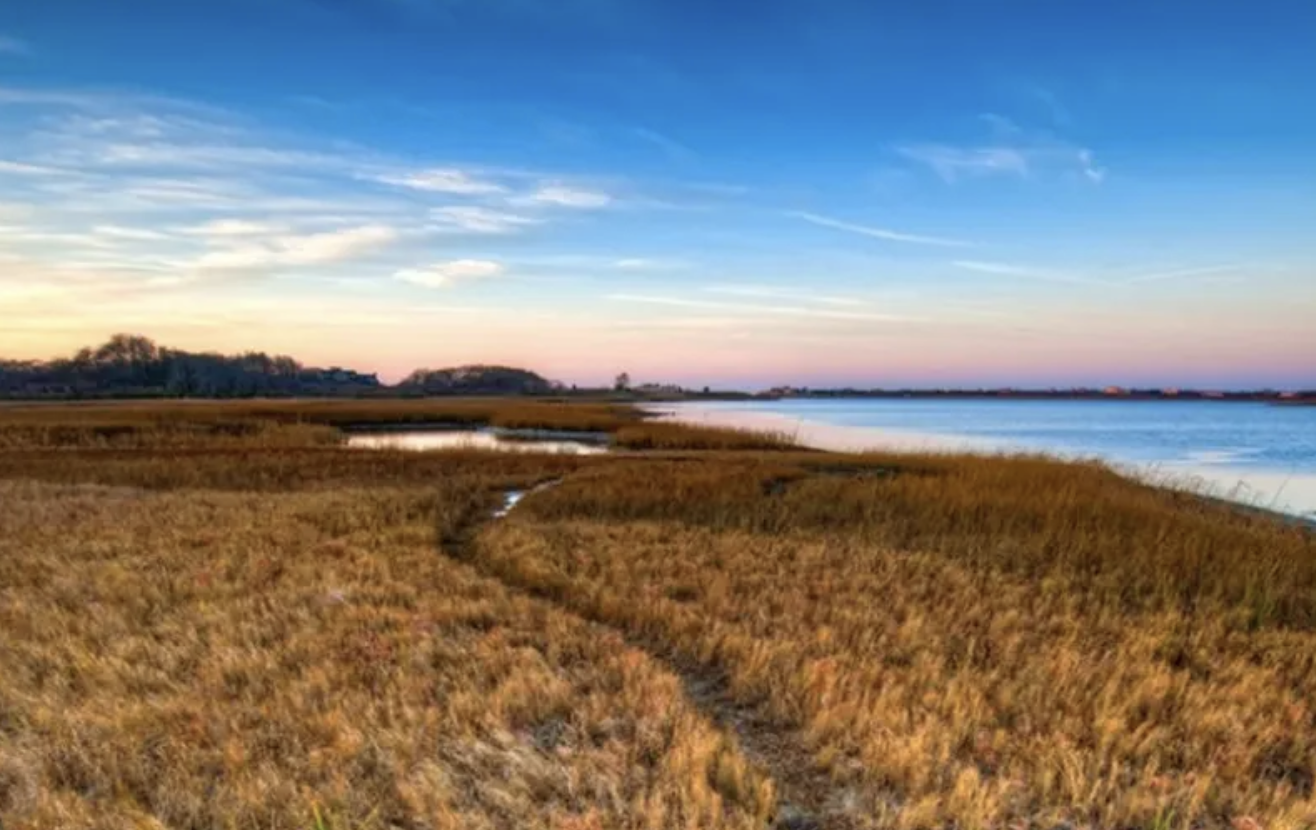Winter Walks with the Nantucket Conservation Foundation - Fisher Real ...