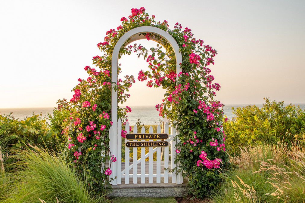 Isabel Baer, Nantucket Photographer - Fisher Real Estate Nantucket