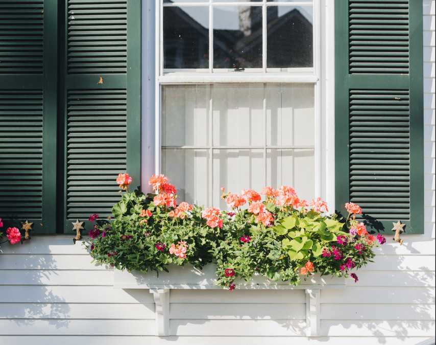 How to Make Perfect Nantucket Window Boxes - Fisher Real Estate Nantucket