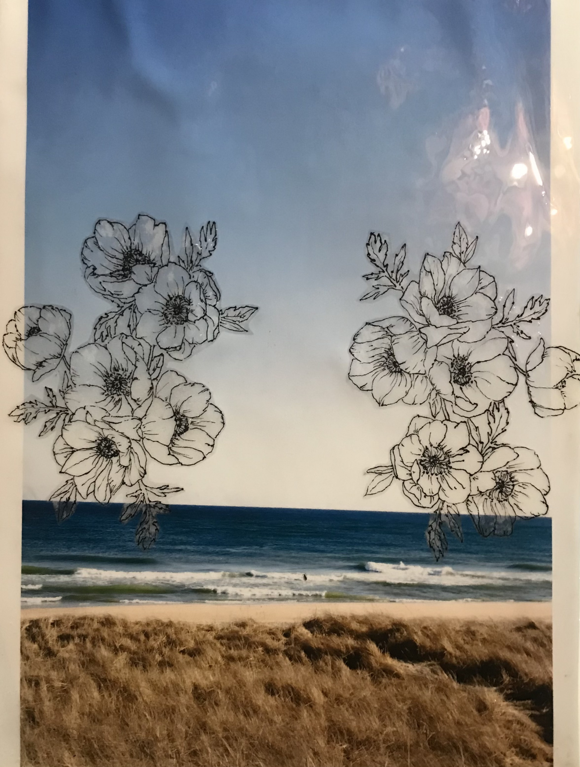 Maggie Murray: AAN Featured Artist - Fisher Real Estate Nantucket