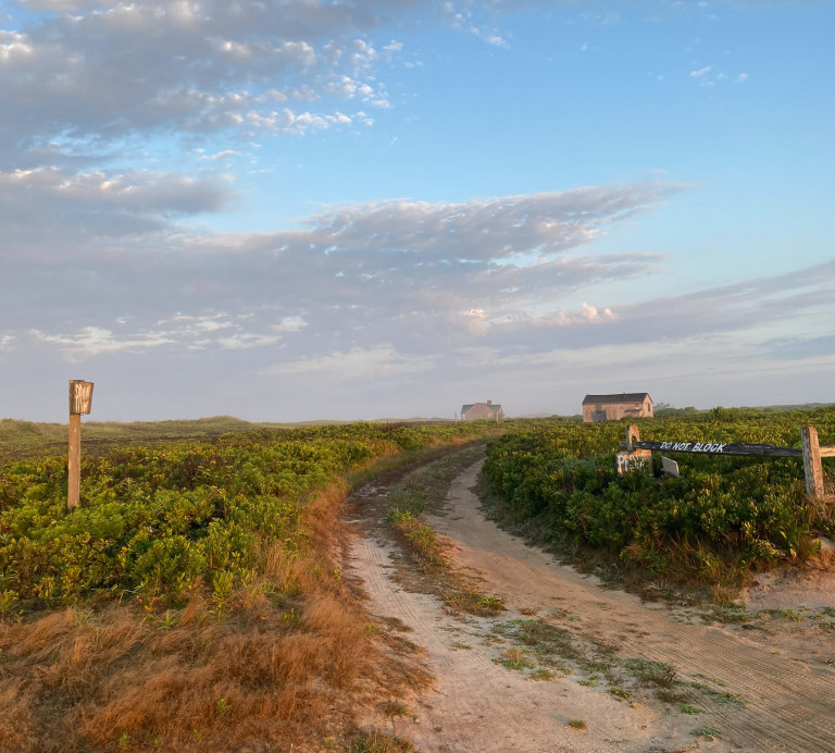 18 Ways to Celebrate Fall on Nantucket - Fisher Real Estate Nantucket