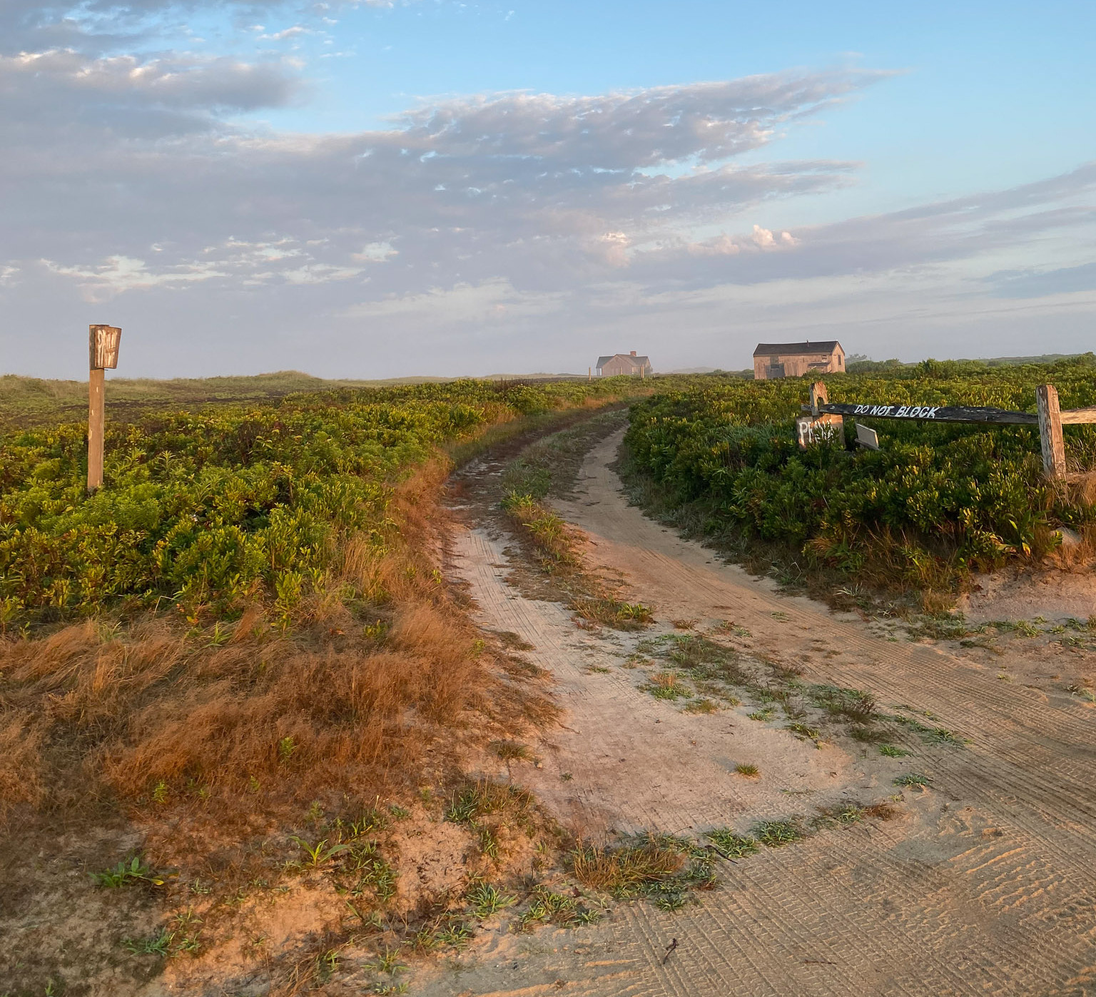Nantucket Half Marathon - Fisher Real Estate Nantucket