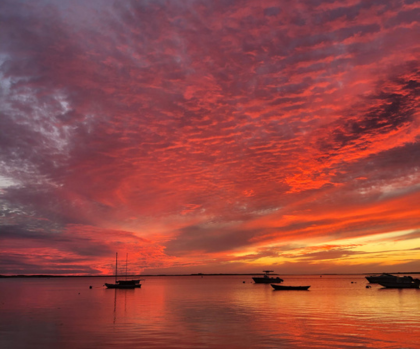 Michael Angelastro - Fisher Real Estate Nantucket