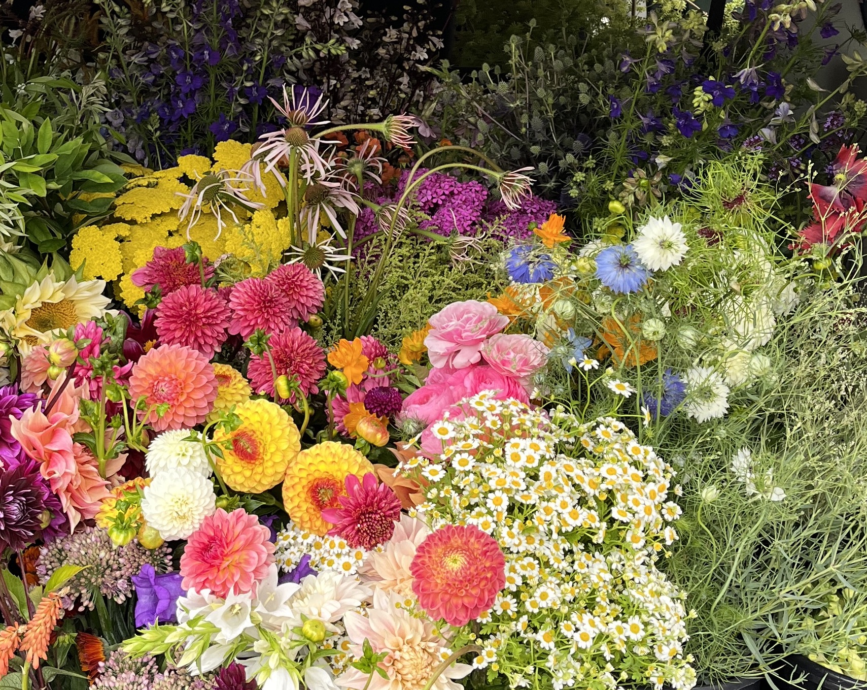 Nantucket Flower Collective - Fisher Real Estate Nantucket